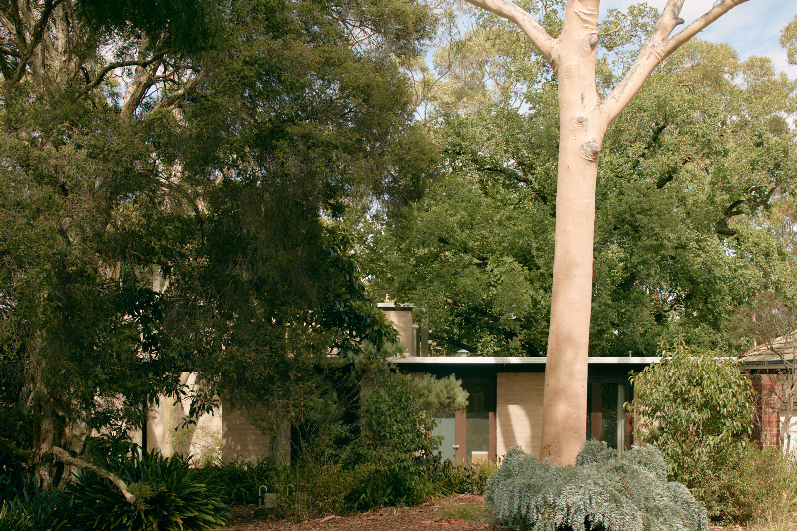 Building Variations Explained: What “Extras” Really Mean in ...